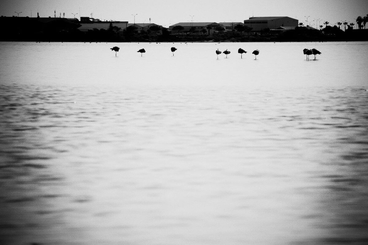 Larnaca, obiective turistice, plaje si sfaturi de calatorie pentru o ...